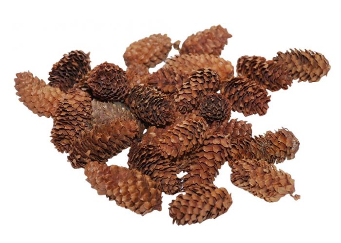 Denneappel mini 4-5cm naturel