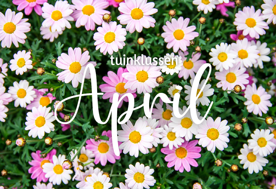 Tuinklussen van de maand | april