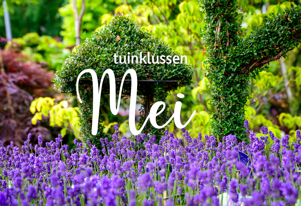 Tuinklussen van de maand | mei